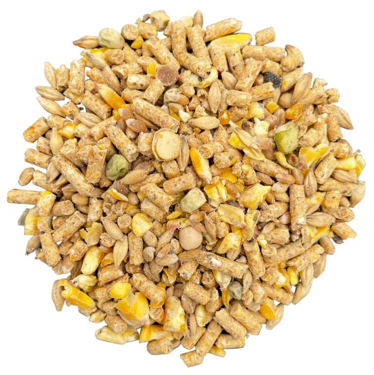 CHOCKA CHOOK - Yardlands