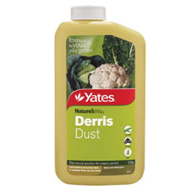 DERRIS DUST - Yardlands