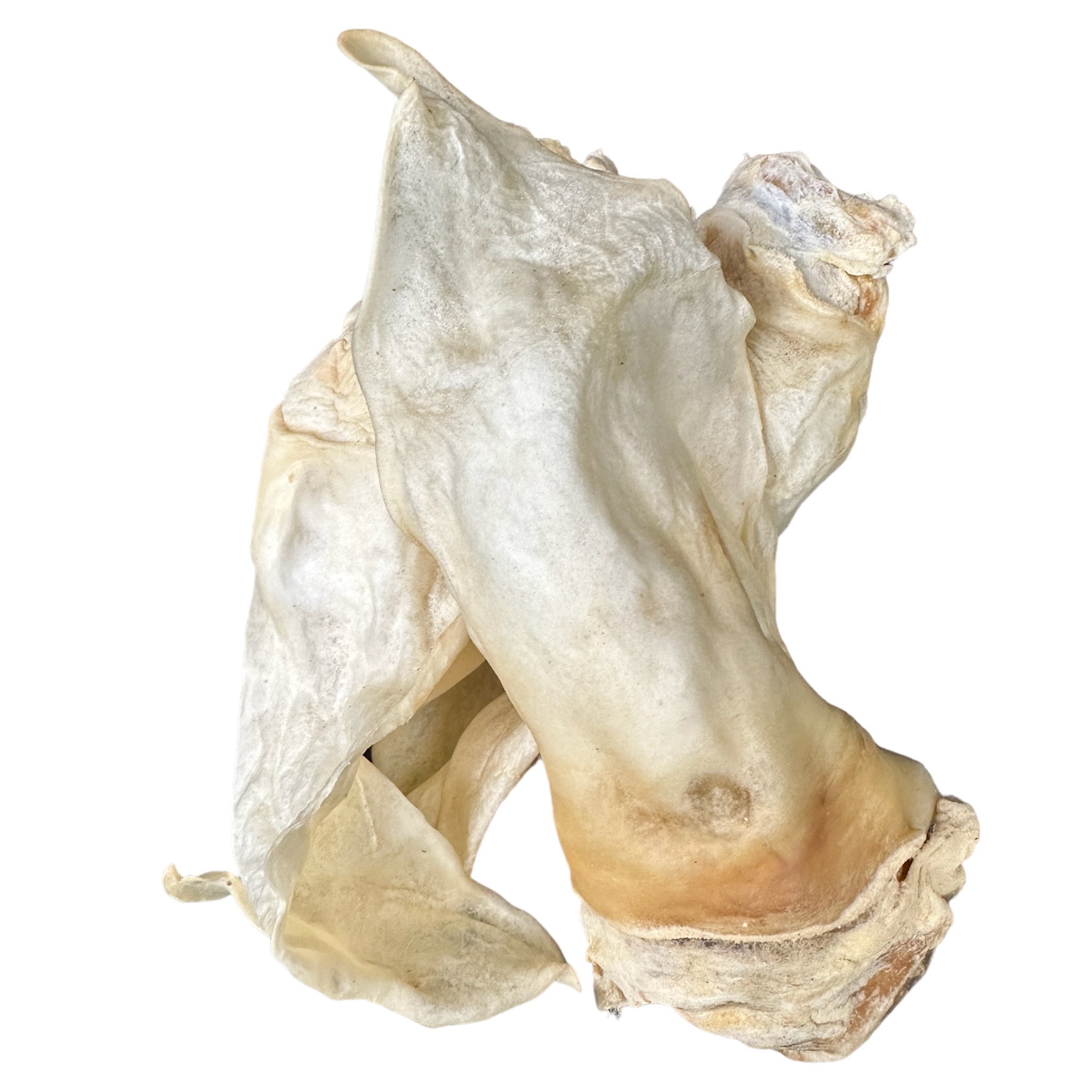 BEEF EAR - Yardlands