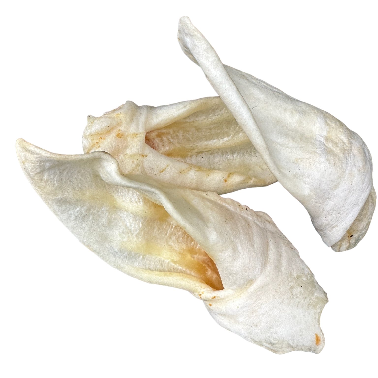 LAMB EAR - Yardlands