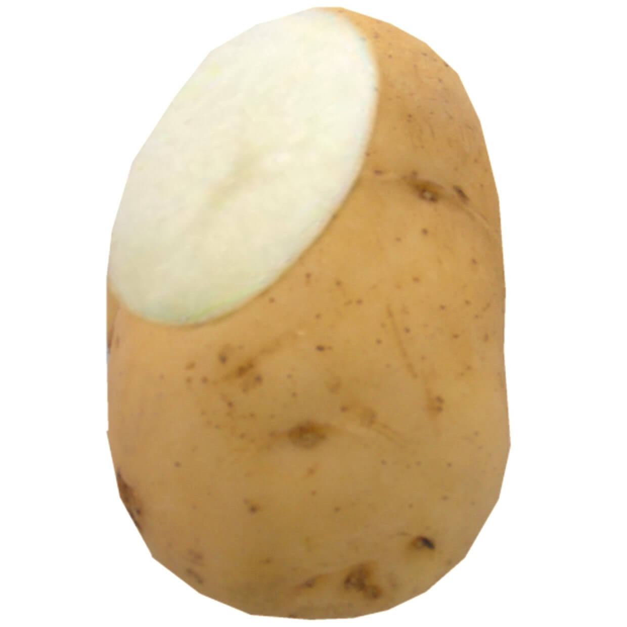 YARDLANDS SPRING SEED SELECTION - Yardlands