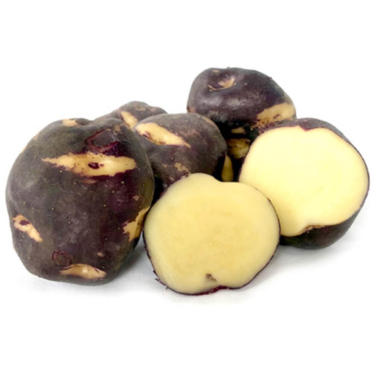 YARDLANDS SPRING SEED SELECTION - Yardlands